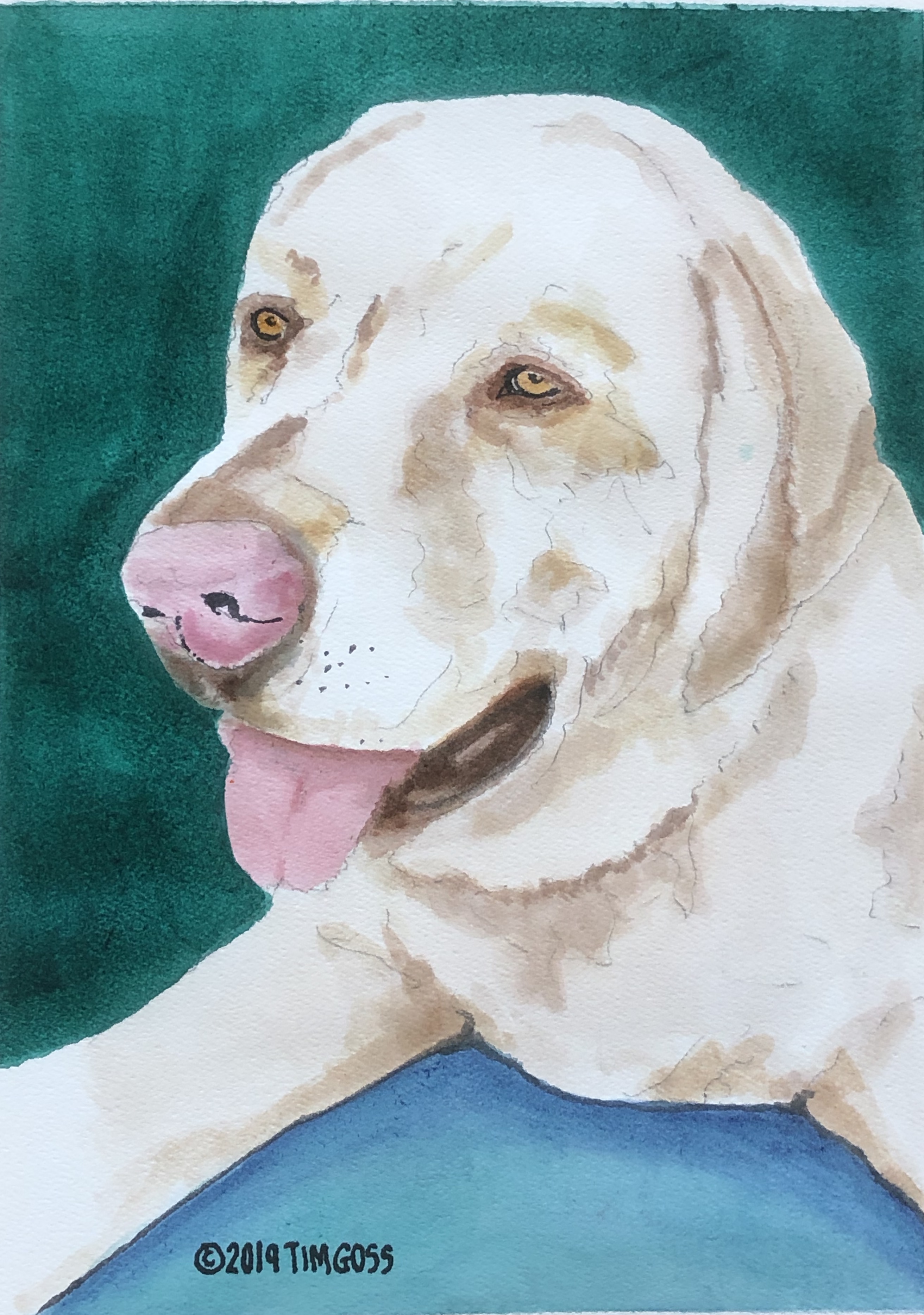 Grace – Tim Goss Watercolors